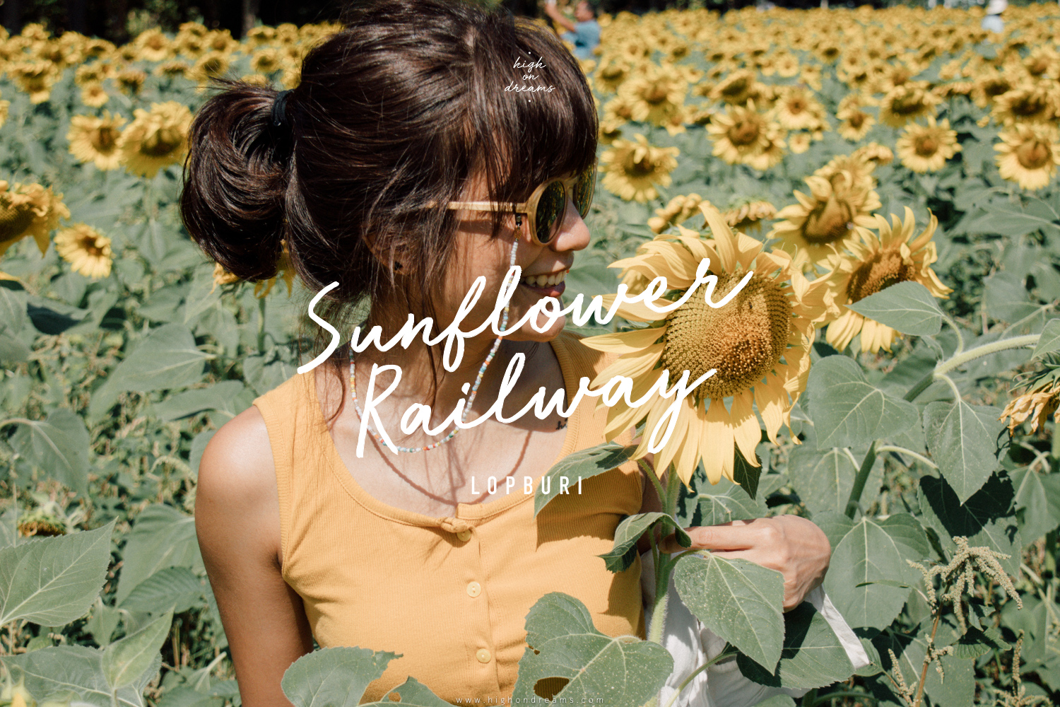 นั่งรถไฟเที่ยวคนเดียว ไปทุ่งดอกทานตะวัน เขื่อนป่าสัก | Sunflower ...